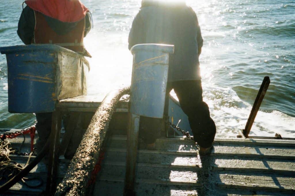 Submarine Cable & Pipe Support Vessels - Miller Marine Services